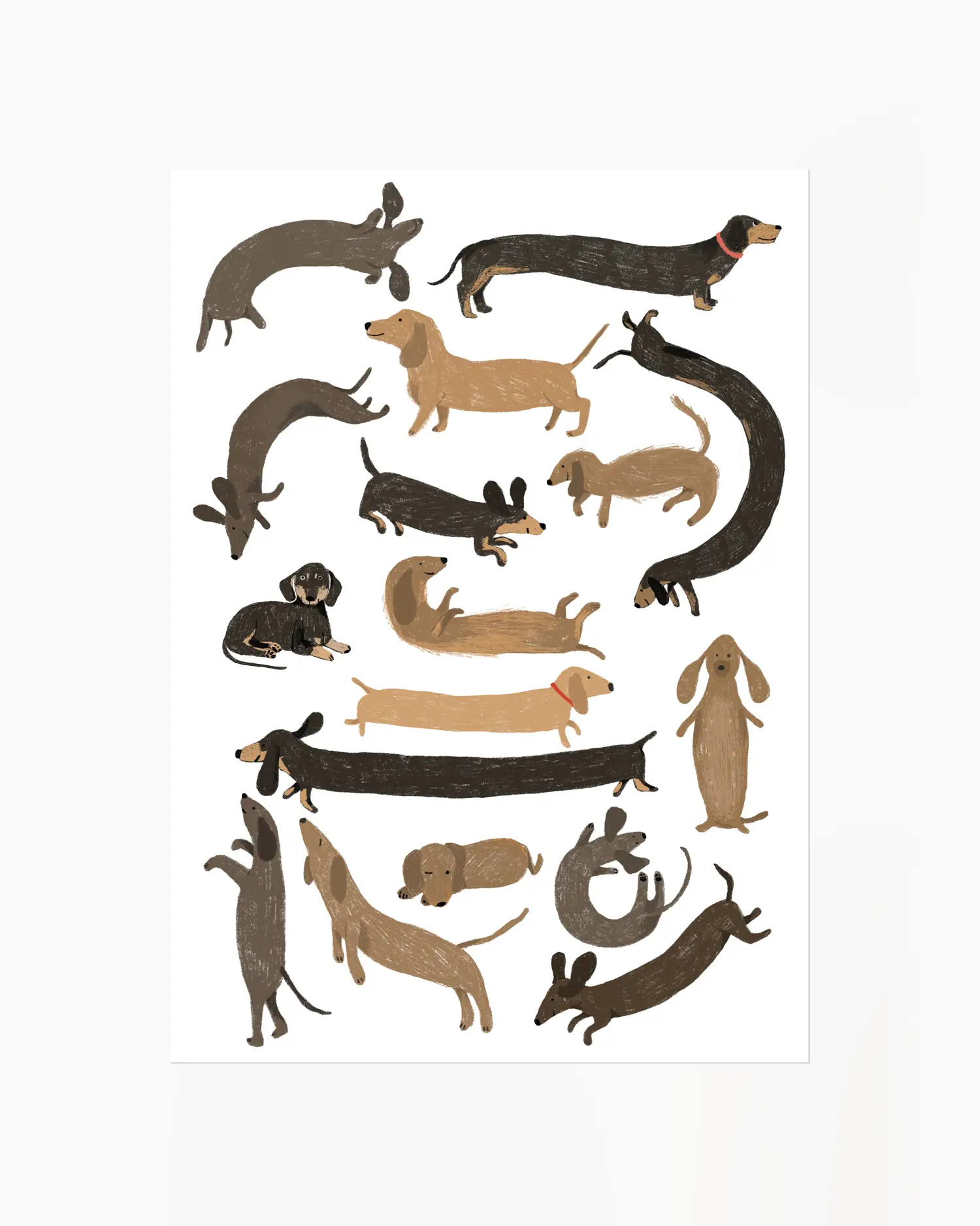 Affiche Teckel | The Birth Poster